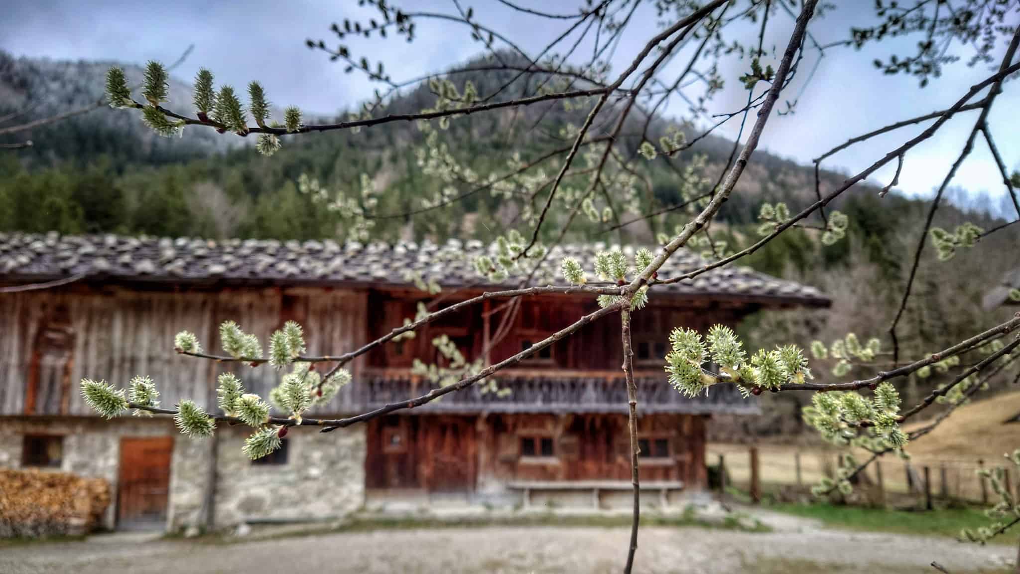 Saisonstart im Markus Wasmeier Freilichtmuseum pünktlich zu den ...